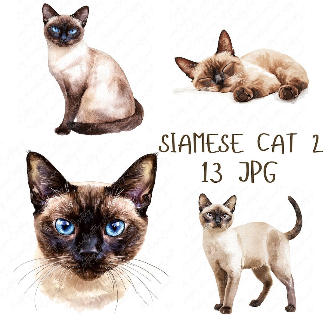 13 Watercolor Siamese Cat Clipart 2, Cute Siamese Cats, Adorable Cat ...