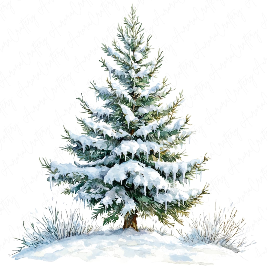 8 Watercolor Snowy Pine Tree Winter Clipart, Winter Pine Tree Clipart ...