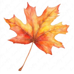 Watercolor Fall Leaves Clipart, Autumn Maple Leaves for Crafts, Autumn ...