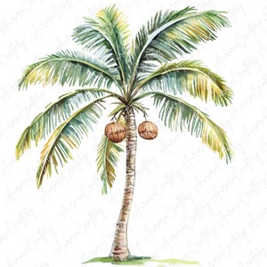6 Watercolor Palm Tree Clipart Bundle, Tropical Coconut Trees & Summer ...