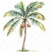 6 Watercolor Palm Tree Clipart Bundle, Tropical Coconut Trees & Summer ...