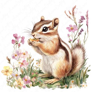 10 Watercolor Chipmunk Clipart, Woodland Chipmunk With Flowers, Forest ...