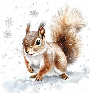 9 Watercolor Winter Squirrel Clipart, Cute Woodland Animal Clipart ...