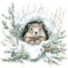 8 Watercolor Festive Groundhog Clipart, Winter Woodland Animal Clipart ...