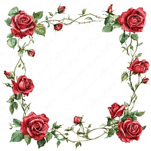 12 Watercolor Rose Frame Clipart, Valentine's Red Roses Square Frames ...