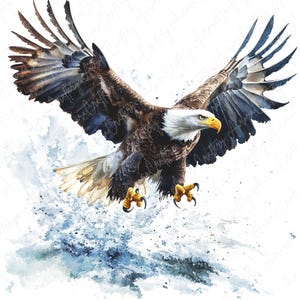 4 Watercolor Eagle Clipart, Soaring Bald Eagle Over Water, Wildlife ...