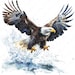 4 Watercolor Eagle Clipart, Soaring Bald Eagle Over Water, Wildlife ...