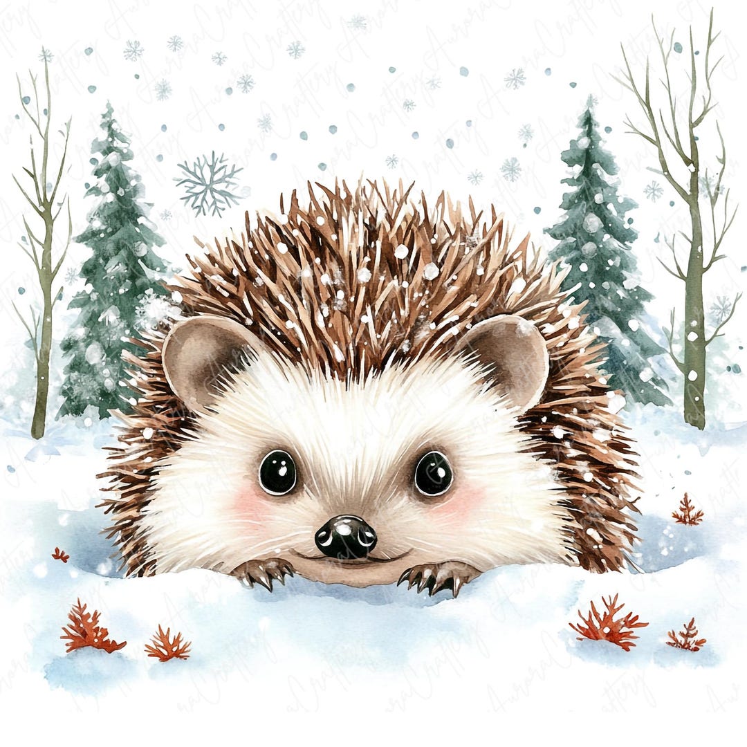 9 Watercolor Winter Hedgehog Clipart, Woodland Animal Clipart, Snowy ...