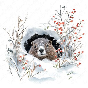 8 Watercolor Festive Groundhog Clipart, Winter Woodland Animal Clipart ...