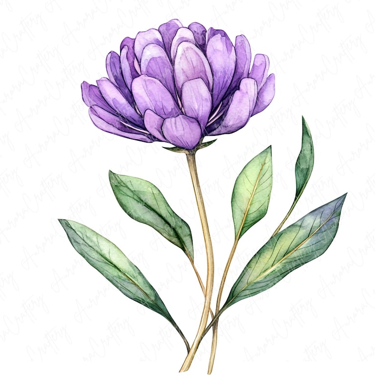 8 Purple Flower Clipart, Lavender and Violet Blossoms Wildflower ...