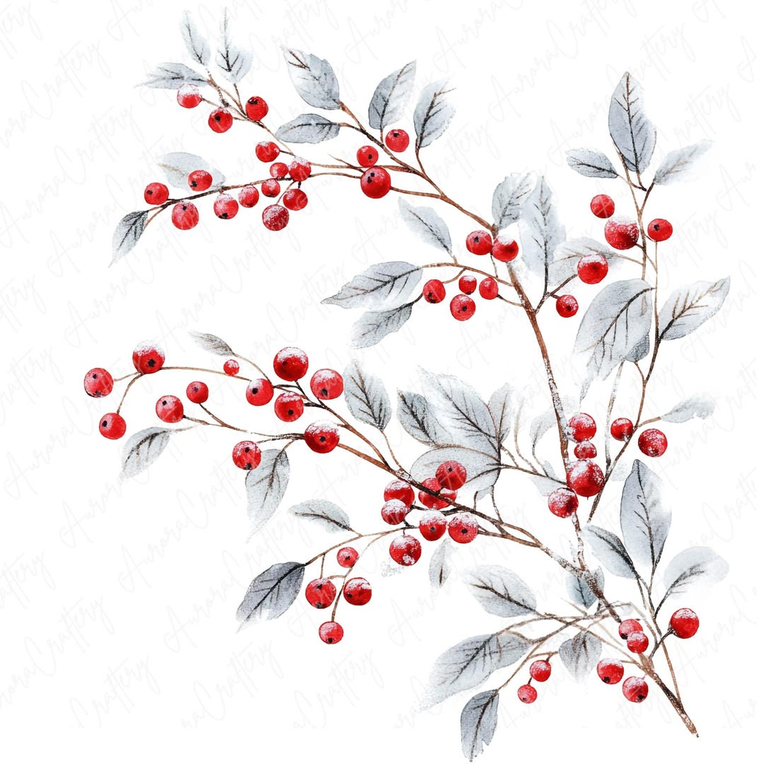 7 Watercolor Winter Berry Branches Clipart, Festive Red Berry and ...