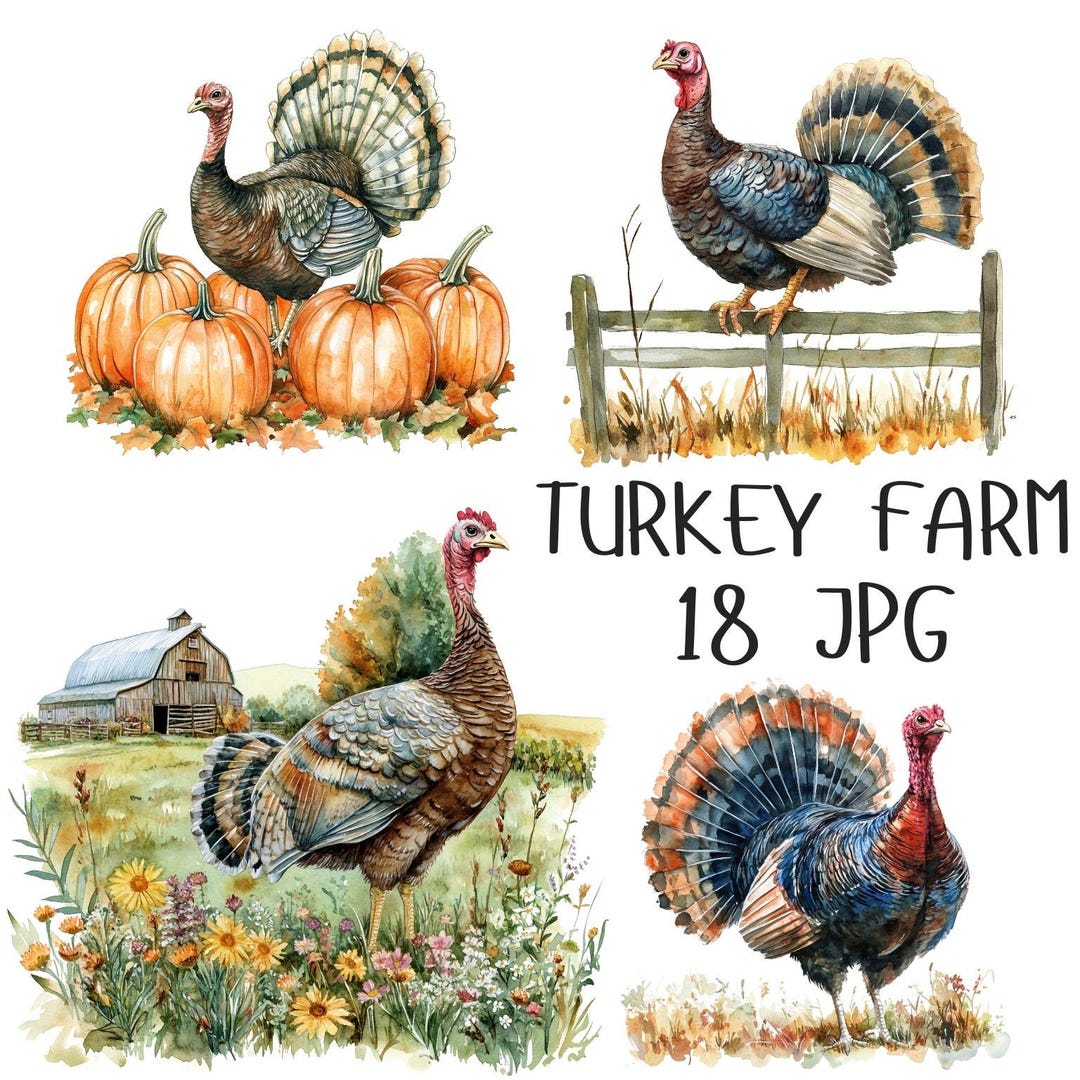 18 Turkey Farm Clipart, Watercolor Turkey Clipart Farm Animal Clipart ...