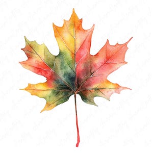 Watercolor Fall Leaves Clipart, Autumn Maple Leaves for Crafts, Autumn ...