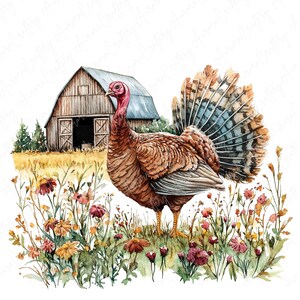18 Turkey Farm Clipart, Watercolor Turkey Clipart Farm Animal Clipart ...