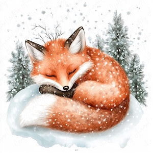 6 Watercolor Sleeping Fox Winter Clipart, Woodland Animal Clipart ...