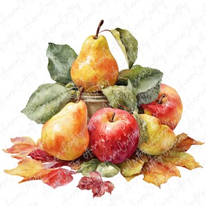 8 Watercolor Pear and Apple Clipart, Autumn Fruit Illustrations With ...