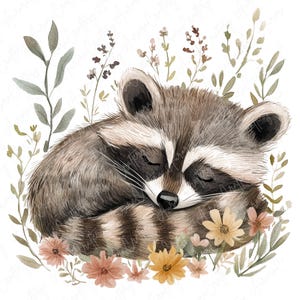 12 Watercolor Raccoon Clipart, Woodland Raccoon, Cute Forest Animal ...
