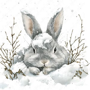 20 Watercolor Winter Rabbit Clipart, Cute Snowy Bunny Clipart, Cozy ...