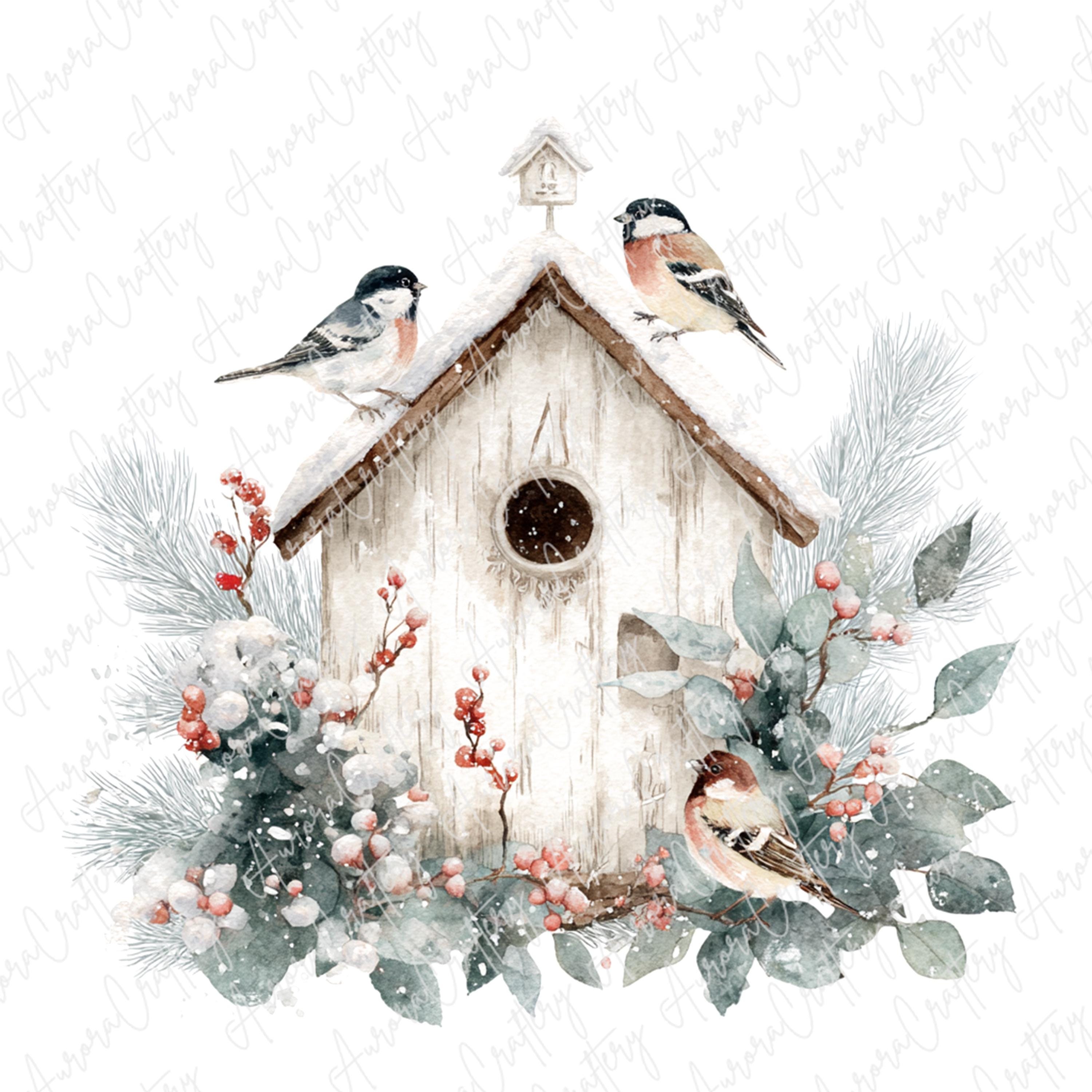 5 Watercolor Birdhouse Clipart, Winter Birds With Pine Branches and ...