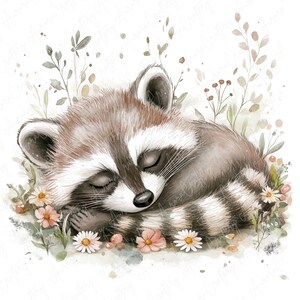 12 Watercolor Raccoon Clipart, Woodland Raccoon, Cute Forest Animal ...