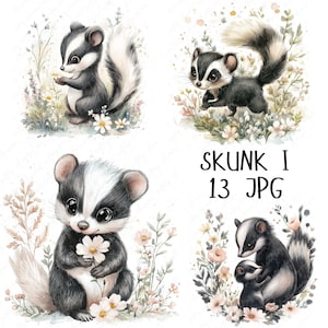 13 Watercolor Skunk Clipart, Woodland Skunk, Cute Forest Animal Clipart ...
