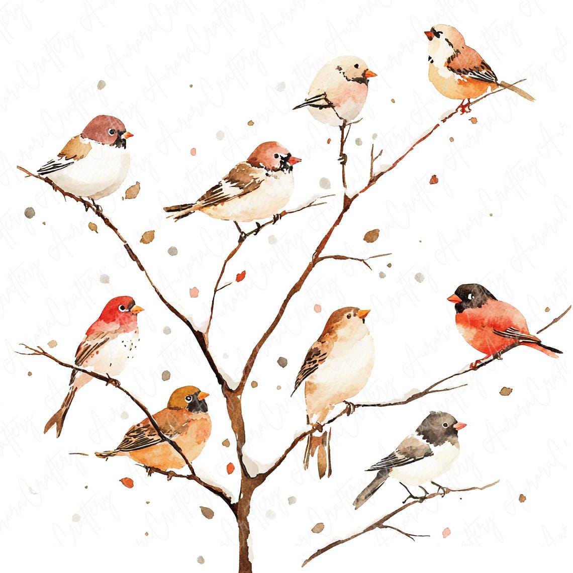 7 Watercolor Winter Birds Clipart, Woodland Bird Clipart, Birds on ...