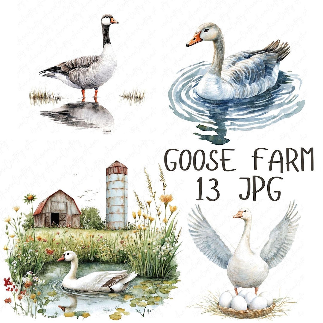 13 Goose Farm Watercolor Clipart, Goose Clipart Watercolor Animals ...