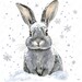 10 Watercolor Winter Rabbit Clipart, Woodland Bunny Clipart, Snowy ...