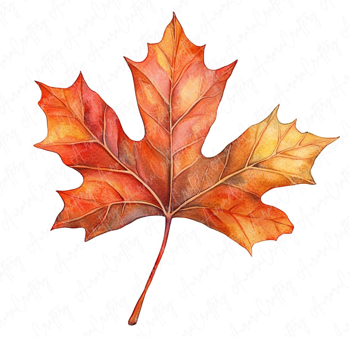 Watercolor Fall Leaves Clipart, Autumn Maple Leaves for Crafts, Autumn ...