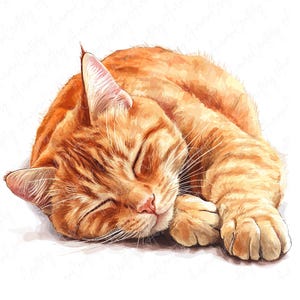 14 Watercolor Ginger Cat Clipart, Playful Orange Tabby Cats, Cute Cat ...