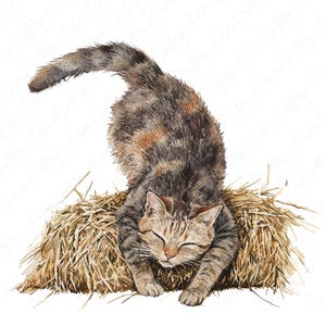 13 Cat Farm Clipart, Watercolor Farm Cats, Watercolor Cat Clipart Cute ...