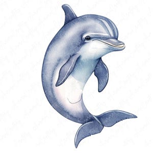 9 Watercolor Dolphin Clipart, Ocean Clipart, Cute Dolphin Clipart ...