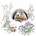 8 Watercolor Festive Groundhog Clipart, Winter Woodland Animal Clipart ...