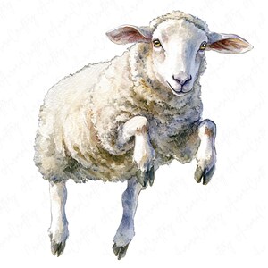 12 Watercolor Sheep Farm Clipart, Cute Sheep Clipart, Farm Animal ...