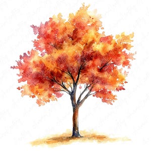 7 Watercolor Fall Tree Clipart, Autumn Foliage, Autumn Clipart, Fall ...