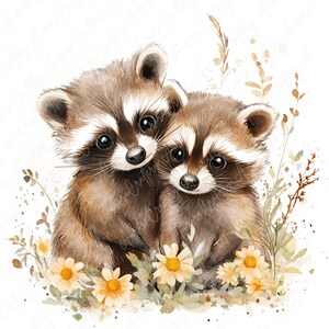 12 Watercolor Raccoon Clipart, Woodland Raccoon, Cute Forest Animal ...