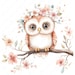 9 Watercolor Owl Clipart, Woodland Owl and Floral Clipart, Cute Owl ...
