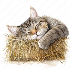 13 Cat Farm Clipart, Watercolor Farm Cats, Watercolor Cat Clipart Cute ...