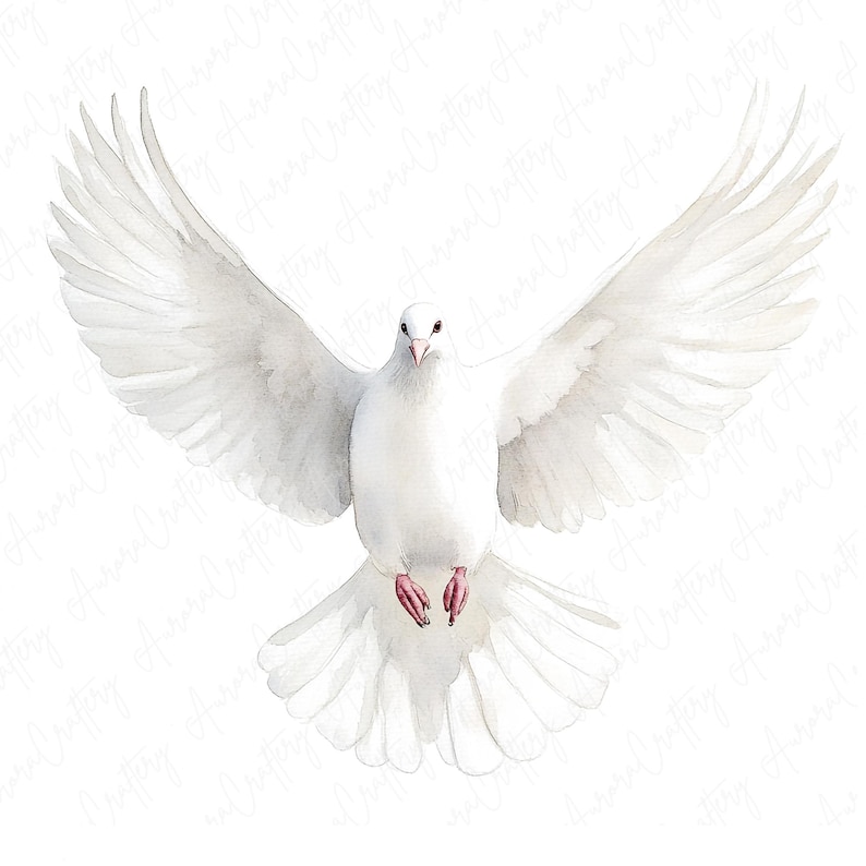 8 Watercolor White Dove Clipart, Peaceful Dove Clipart Memorial Dove ...