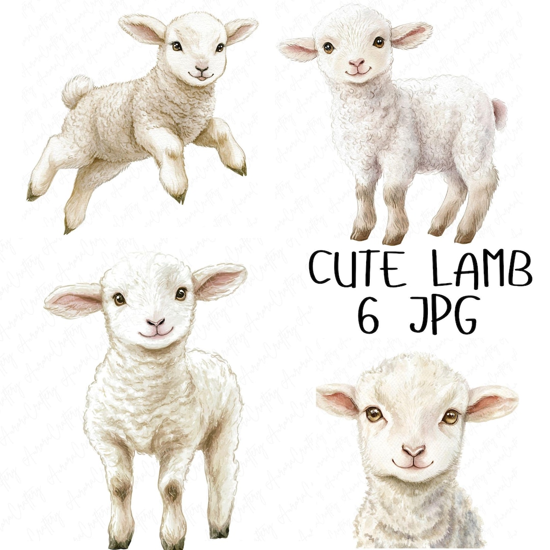 6 Watercolor Cute Lamb Clipart, Adorable Baby Lamb Nursery Clipart ...