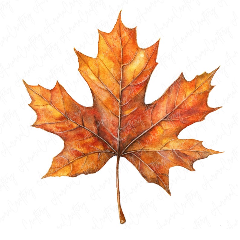 Watercolor Fall Leaves Clipart, Autumn Maple Leaves for Crafts, Autumn ...