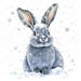 10 Watercolor Winter Rabbit Clipart, Woodland Bunny Clipart, Snowy ...