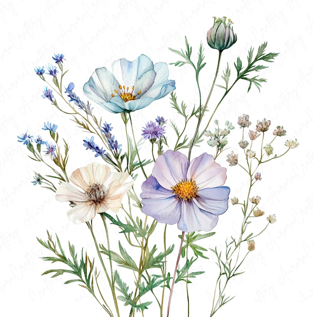 12 Well Defined Wildflower Watercolor Clipart Bundle, High Quality JPG ...