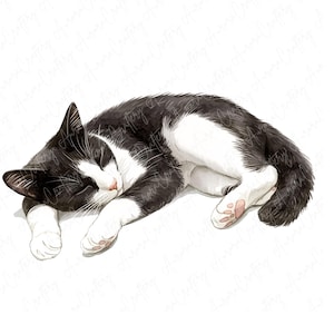 15 Watercolor Tuxedo Cat Clipart, Playful Tuxedo Cats, Cute Black and ...