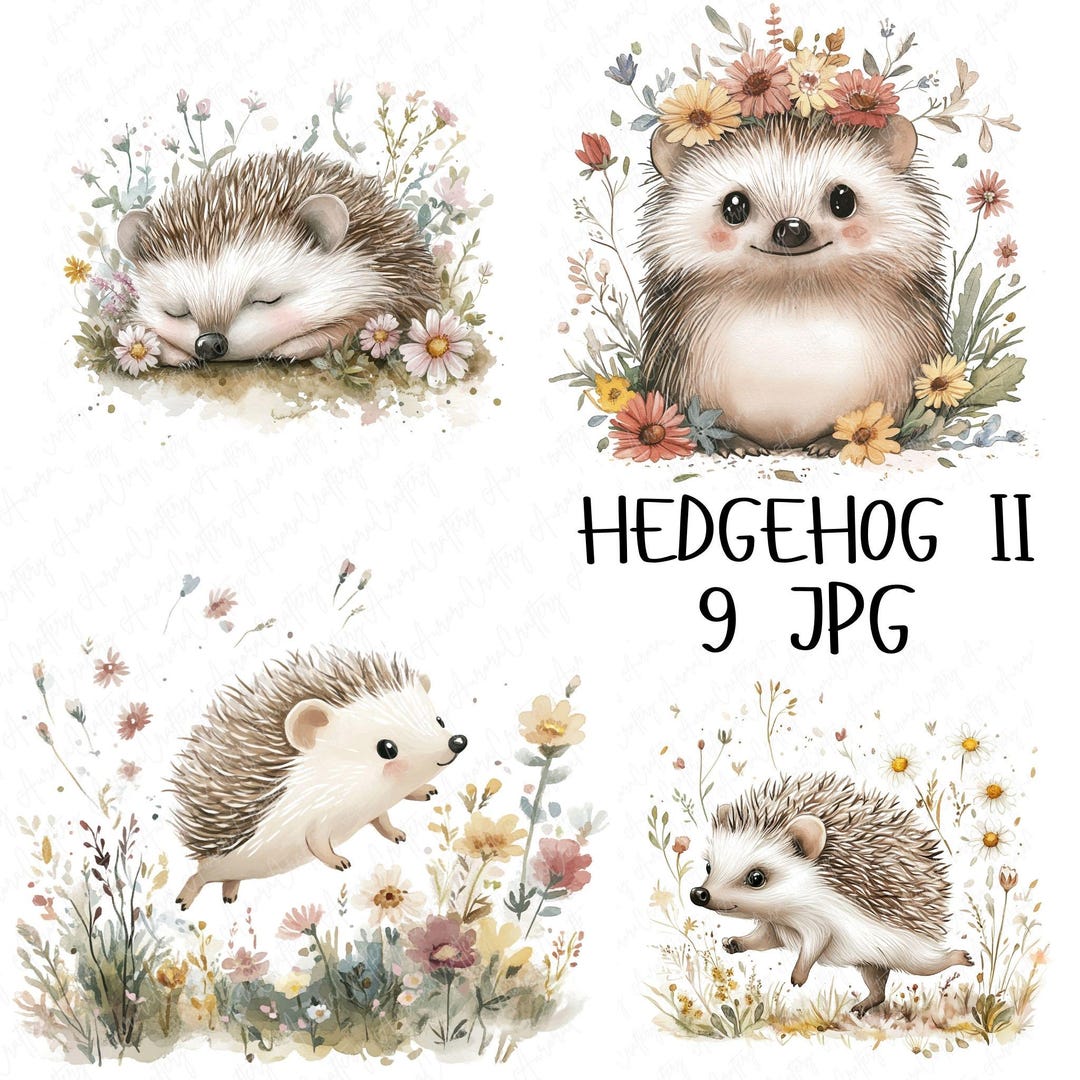 9 Watercolor Hedgehog Clipart, Floral Hedgehog Woodland Decor, Cute ...
