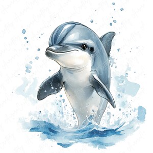 8 Watercolor Dolphin Clipart, Dolphin Sealife Clipart, Playful Dolphin ...