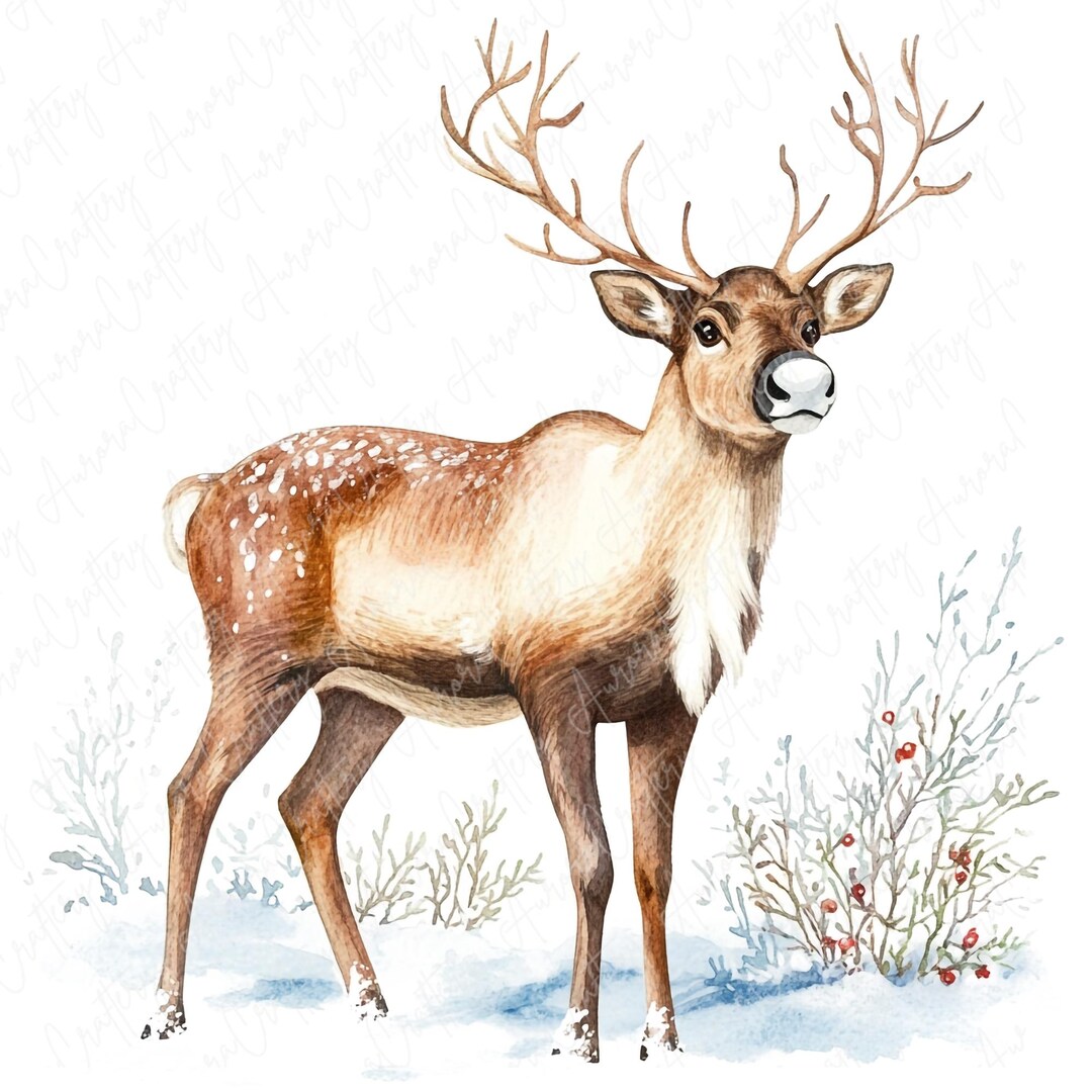 8 Watercolor Reindeer Winter Clipart, Woodland Winter Animal Clipart ...