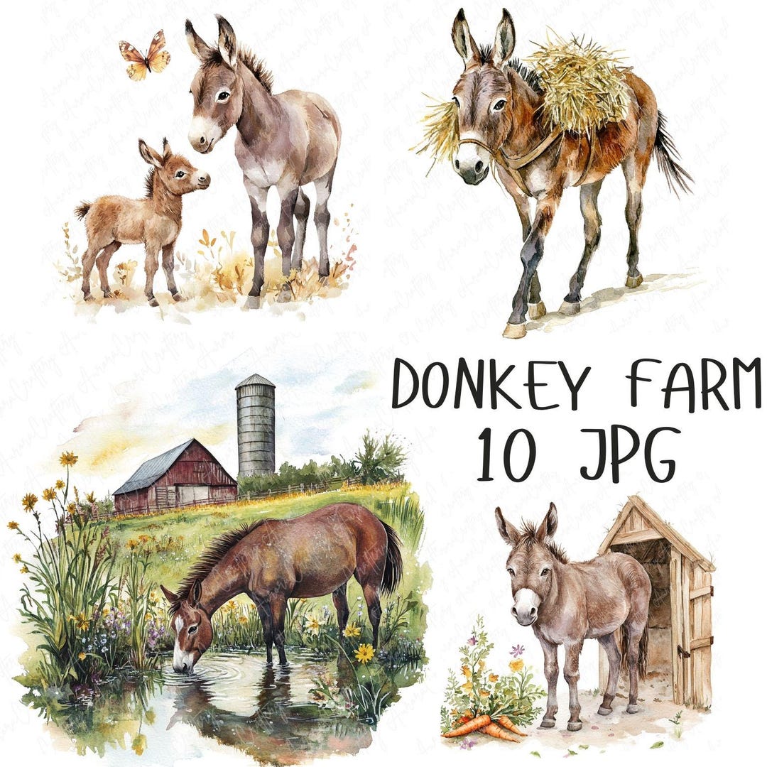 10 Donkey Farm Clipart, Watercolor Donkeys, Cute Donkey Clipart, Farm ...