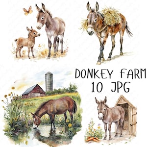 10 Donkey Farm Clipart, Watercolor Donkeys, Cute Donkey Clipart, Farm ...