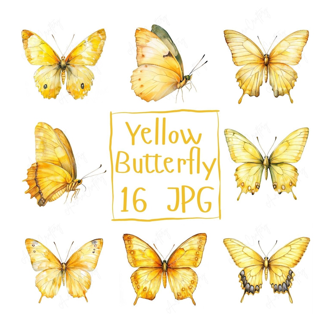 16 Watercolor Yellow Butterfly Clipart, Delicate Butterfly ...